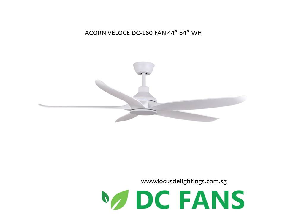 INTAGLIO DC-159 40″ DC FAN (LED LIGHTKIT) - FOCUS DE LIGHTINGS PTE LTD