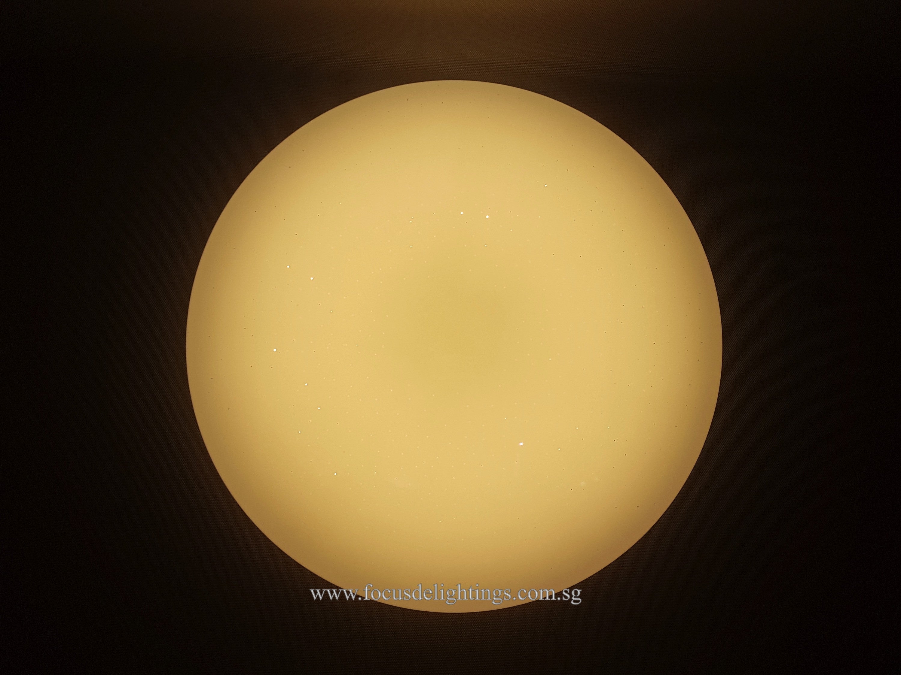 CEILING LAMPS - FULL FLUSH - FOCUS DE LIGHTINGS PTE LTD