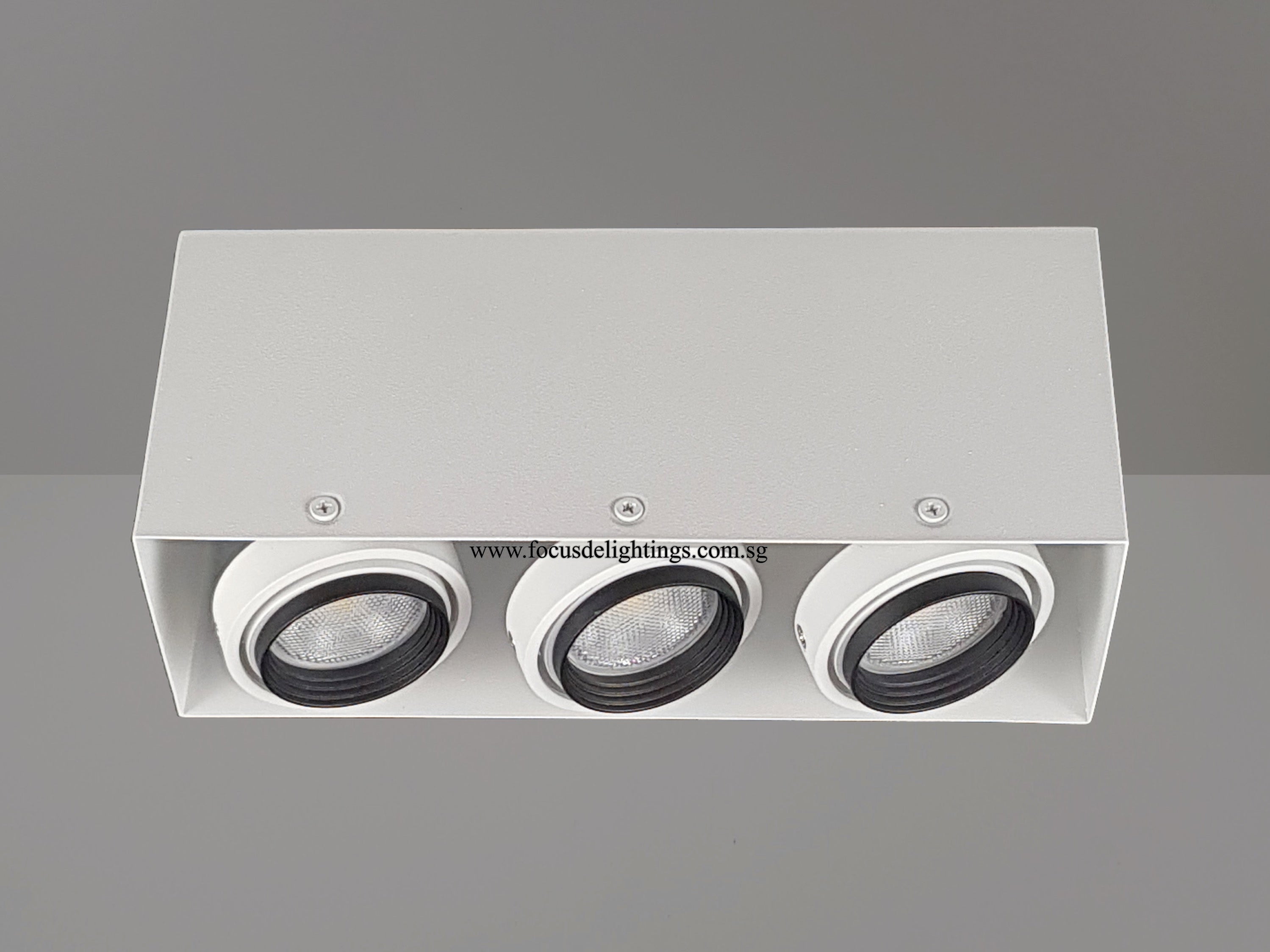 CEILING LAMPS - COMPACT - FOCUS DE LIGHTINGS PTE LTD