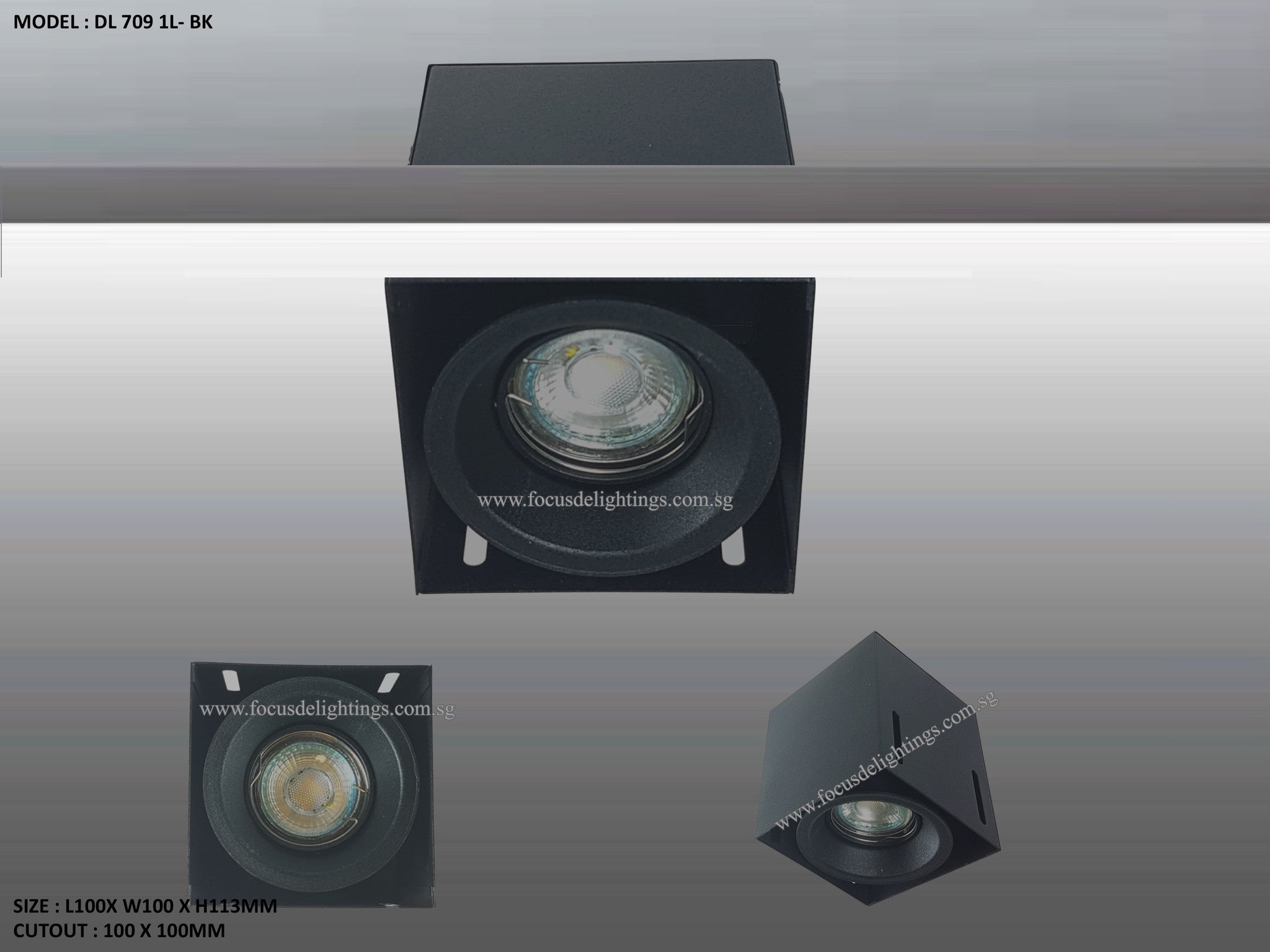 DL 709 TRIMLESS SERIES - ADJUSTABLE RECESSED LIGHTING (PAR16) - FOCUS ...