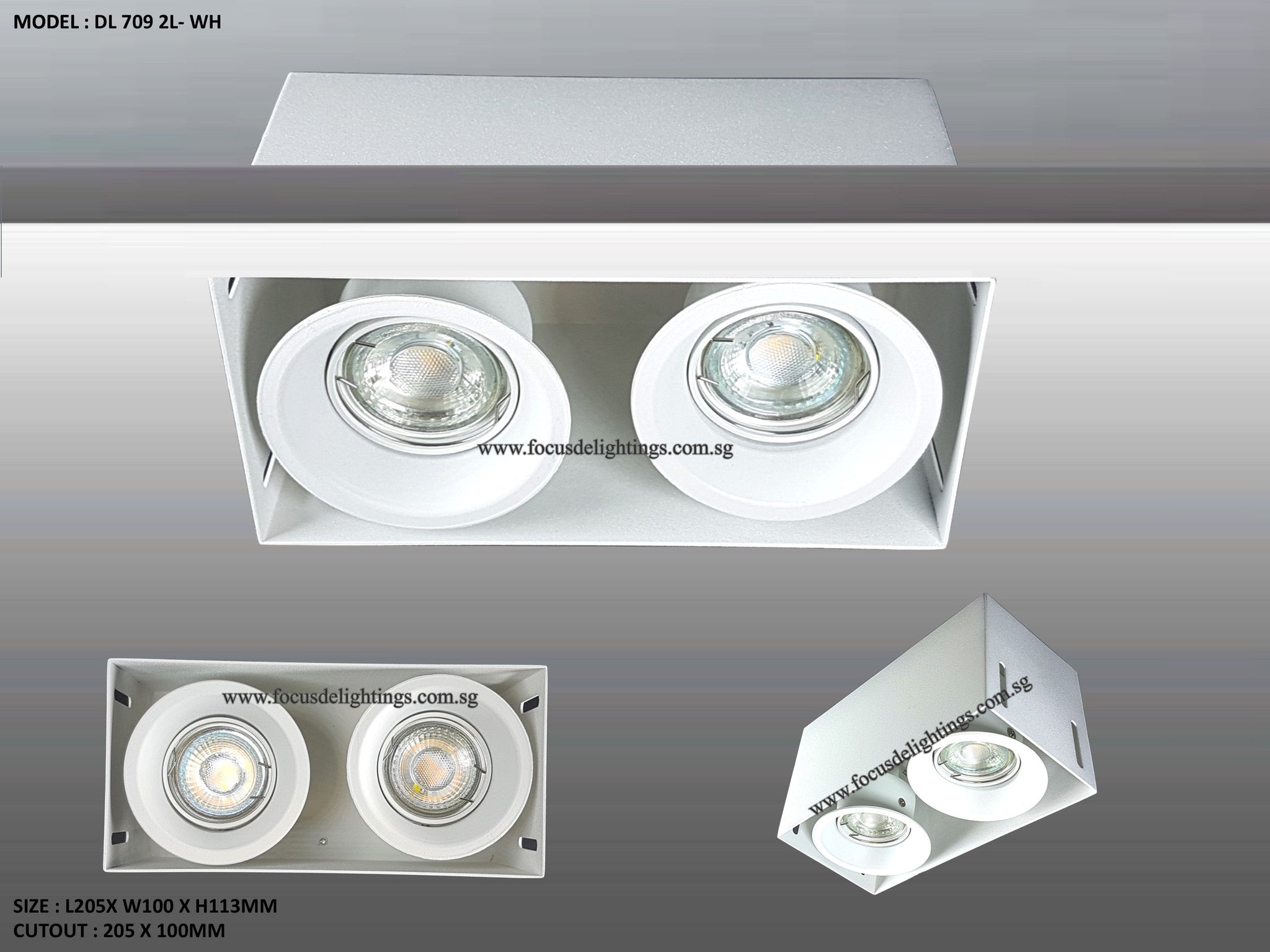 DL 709 TRIMLESS SERIES - ADJUSTABLE RECESSED LIGHTING (PAR16) - FOCUS DE LIGHTINGS PTE LTD