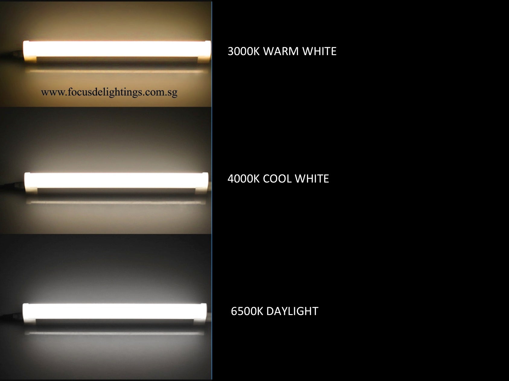 Megaman Led - FOCUS DE LIGHTINGS PTE LTD